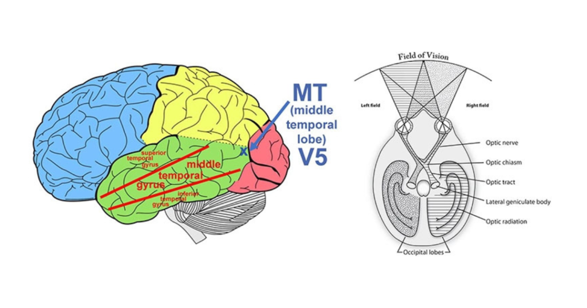 How lateral thinking gives a creative more vision | Creative Moment